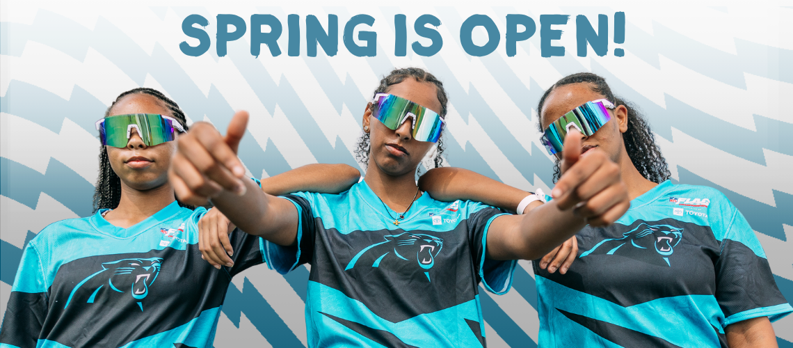 Home [panthersnflflag.com]