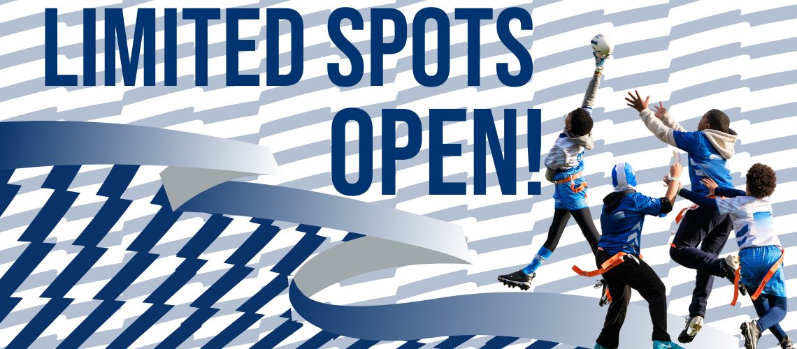 Home [panthersnflflag.com]